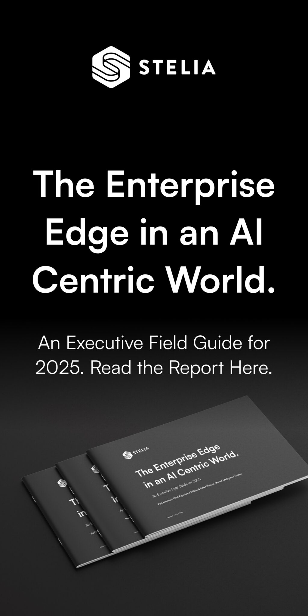 Stelia: Catalysing the AI Revolution with Scalable Solutions