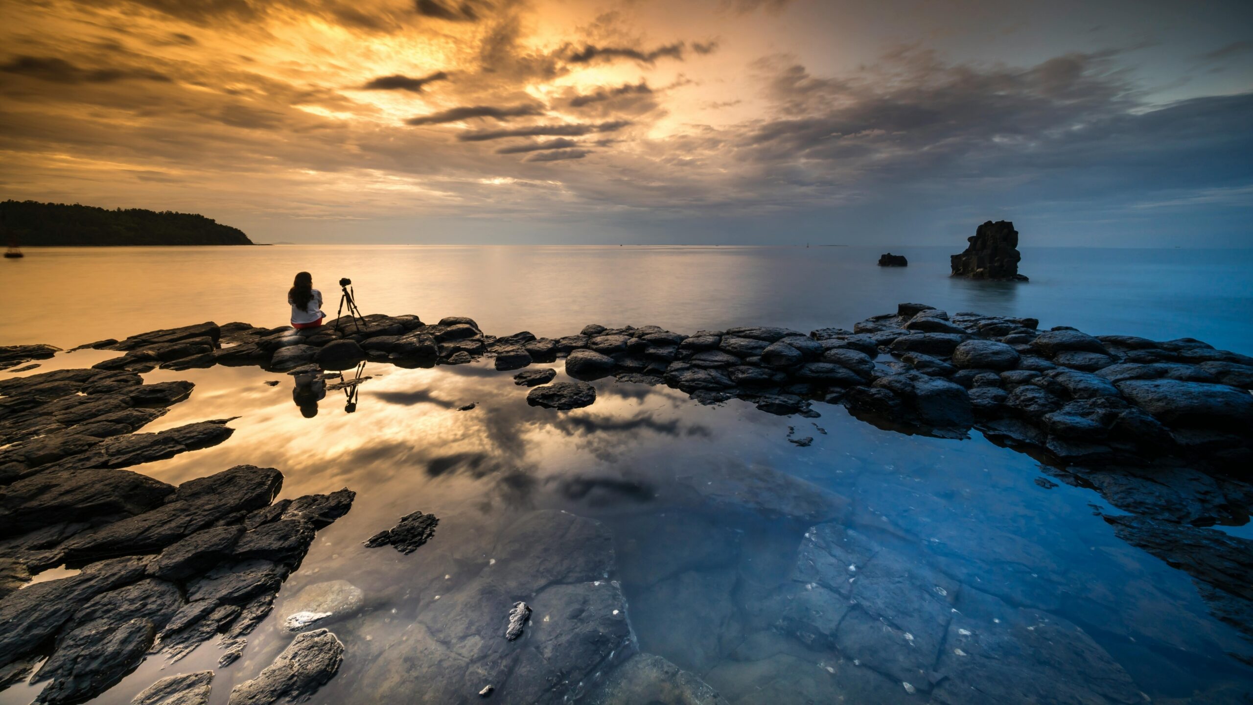 How smart media companies orchestrate AI for real results